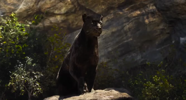 Pod - The Jungle Book