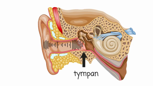 Pod - Système Auditif